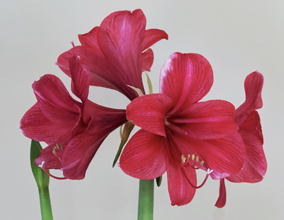 2024 | Technophobe | Blipfoto