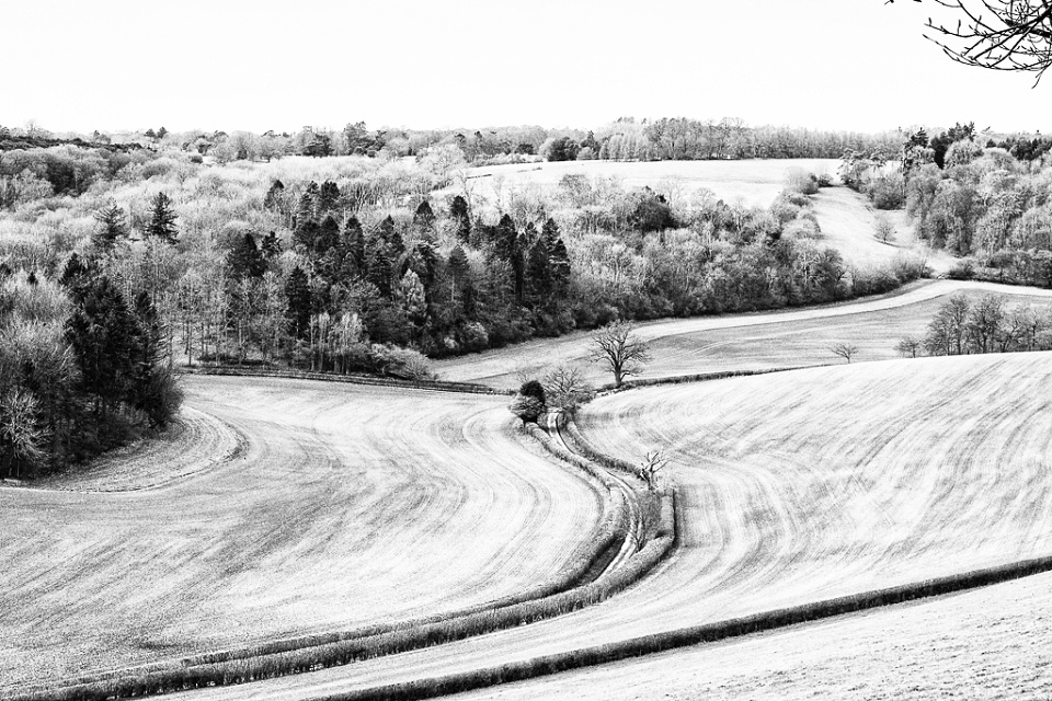 Bix Bottom | lathyrus | Blipfoto