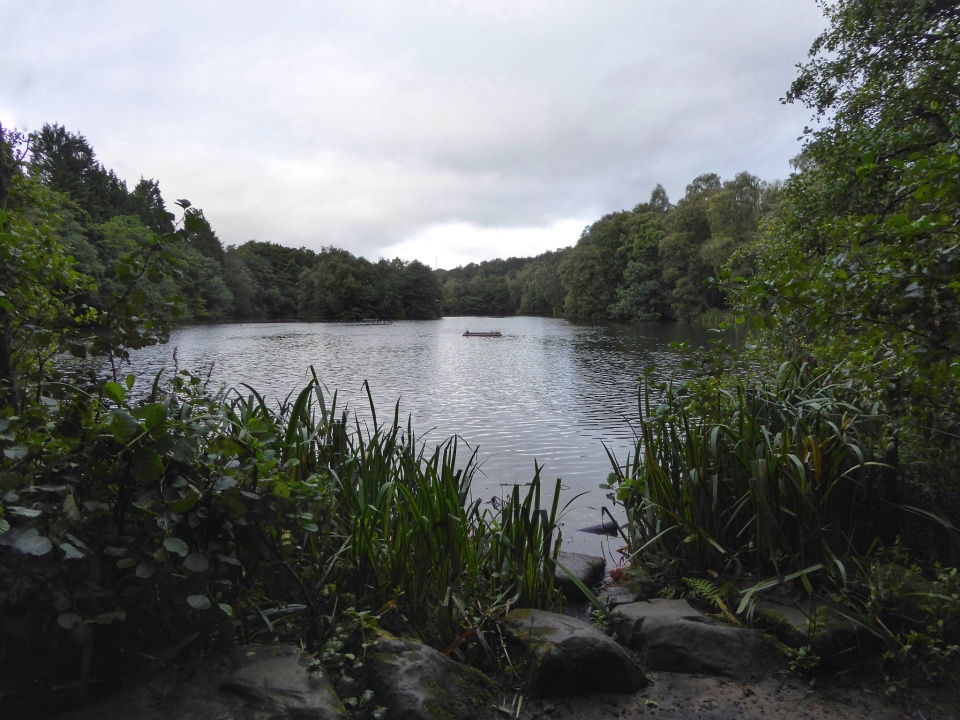 Coppice Pond | corinthian | Blipfoto