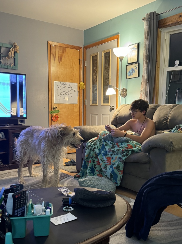 Pizza And Movie Night | TurtleBug | Blipfoto