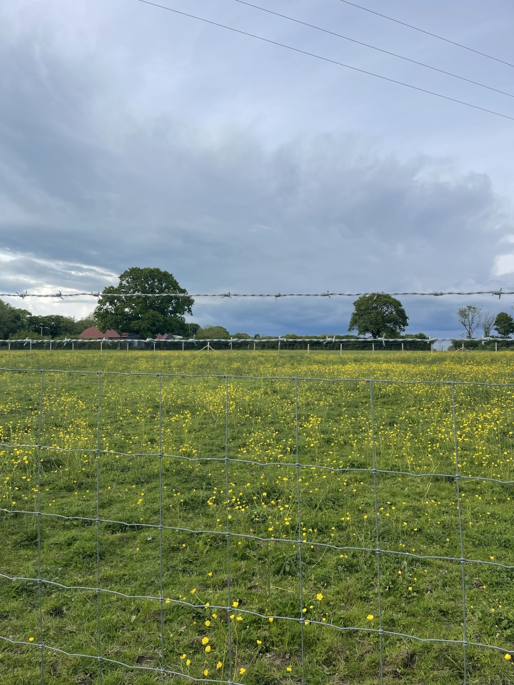 Something grounding | bivbov | Blipfoto