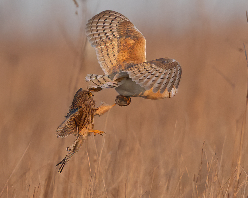 Behind You | Hillyblips | Blipfoto