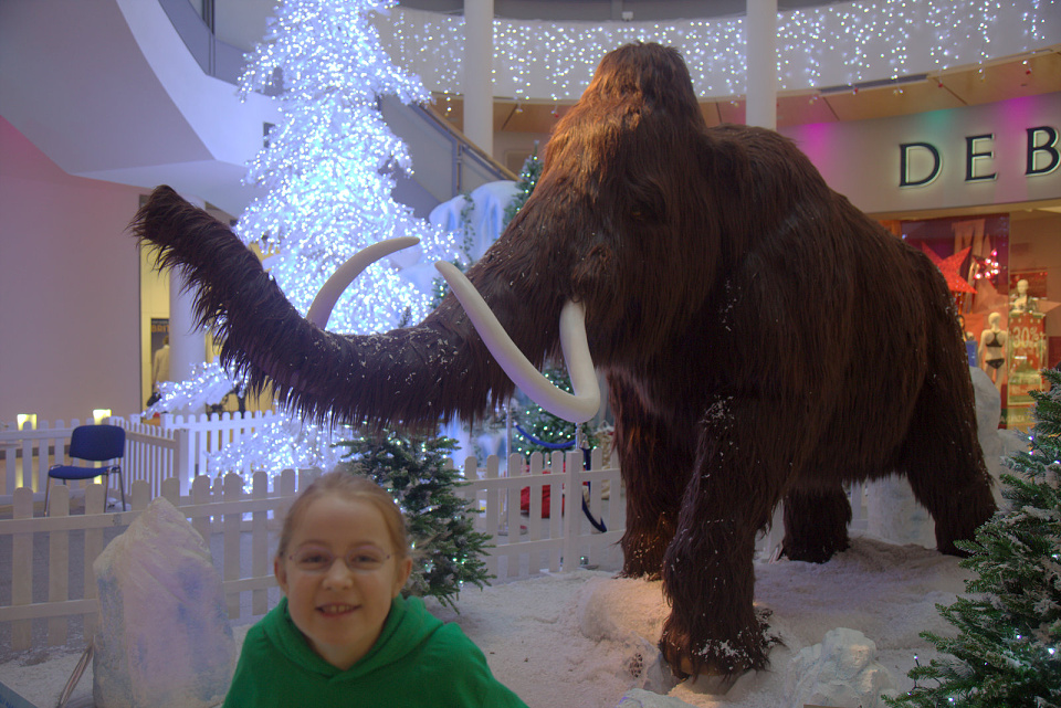 Mammoth task | StephenS | Blipfoto