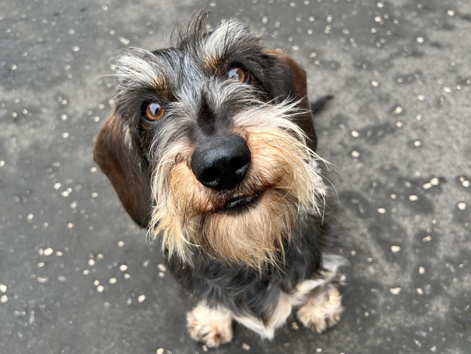 Look at that wee smile! | LadyMarchmont | Blipfoto