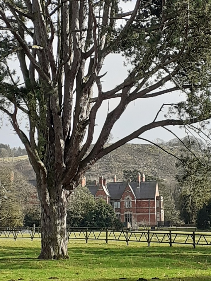 Hutton Hall | 2575jma | Blipfoto