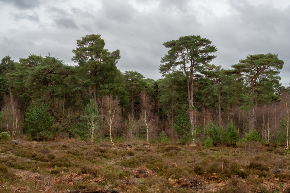 A dull day | NickyR | Blipfoto