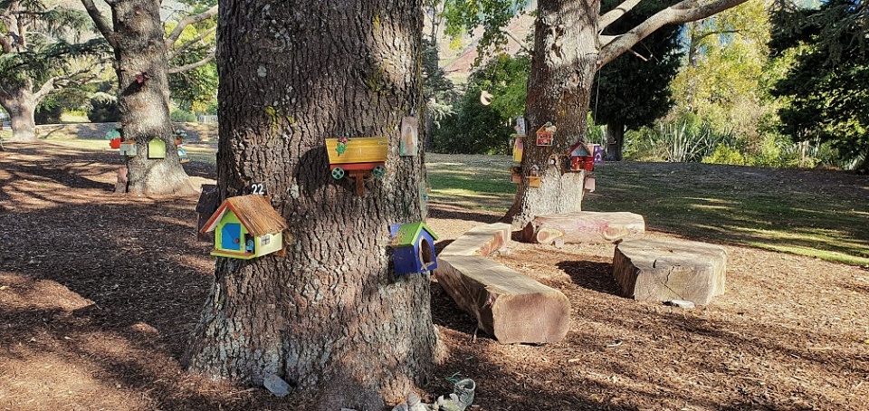 Fairy Grove | twigs | Blipfoto