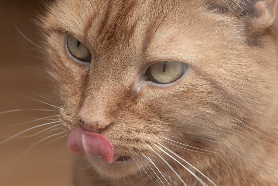 Before the trauma | dbifulco | Blipfoto