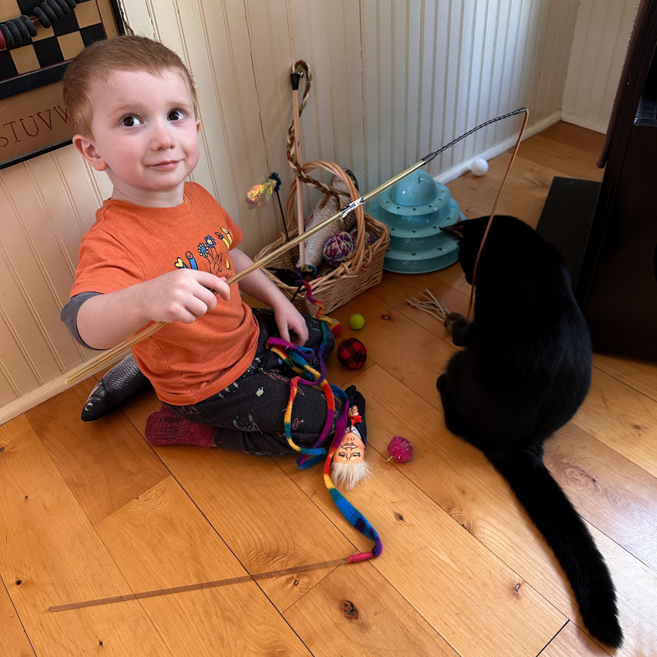 Hunter meets Raven | justbe | Blipfoto