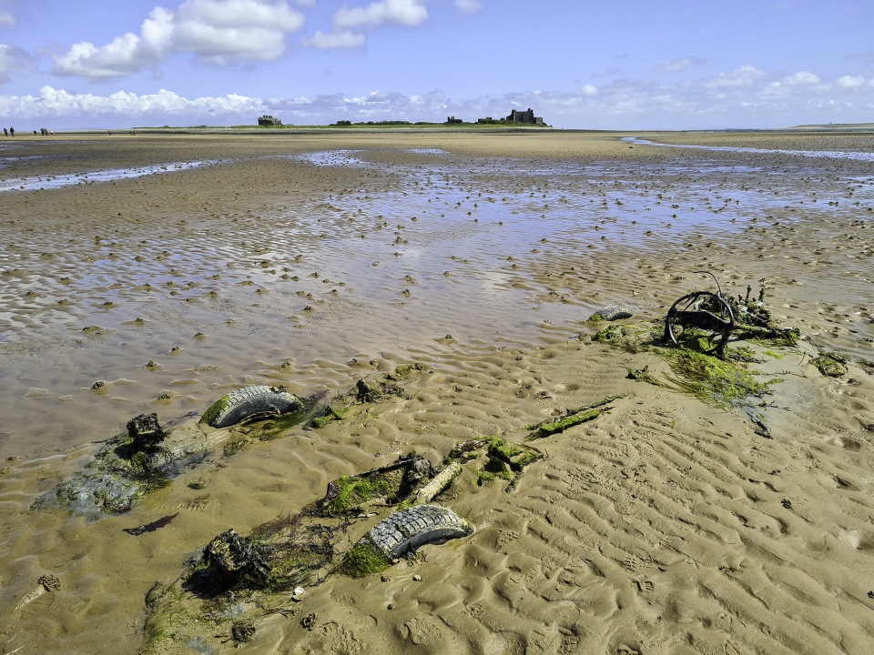 Piel Island and lots of flowers | Puffin | Blipfoto