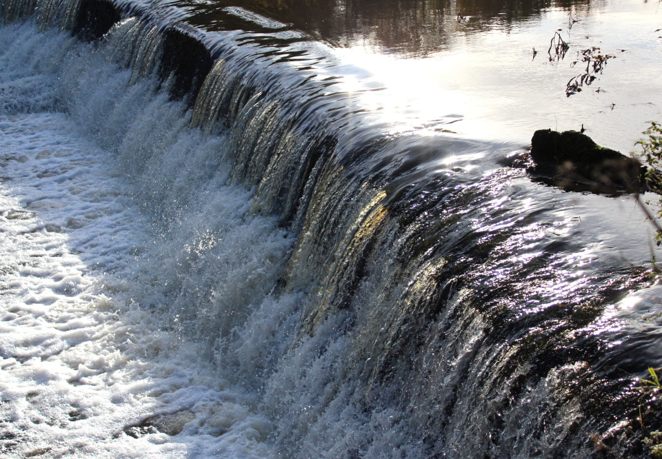 Cold Shower! | theBroon | Blipfoto