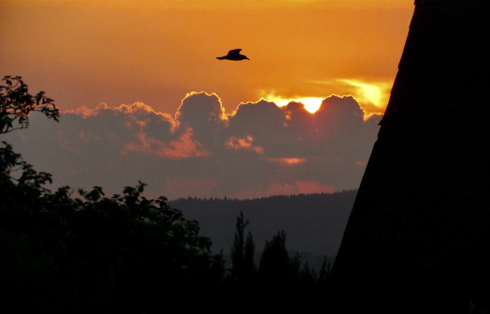 A WONDERFUL EVENING SKY. | Larchlea | Blipfoto