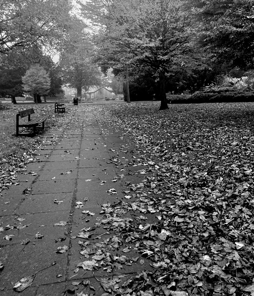 It’s a… | mambo | Blipfoto