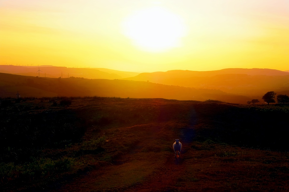 Sunset Stroll | BobsBlips | Blipfoto