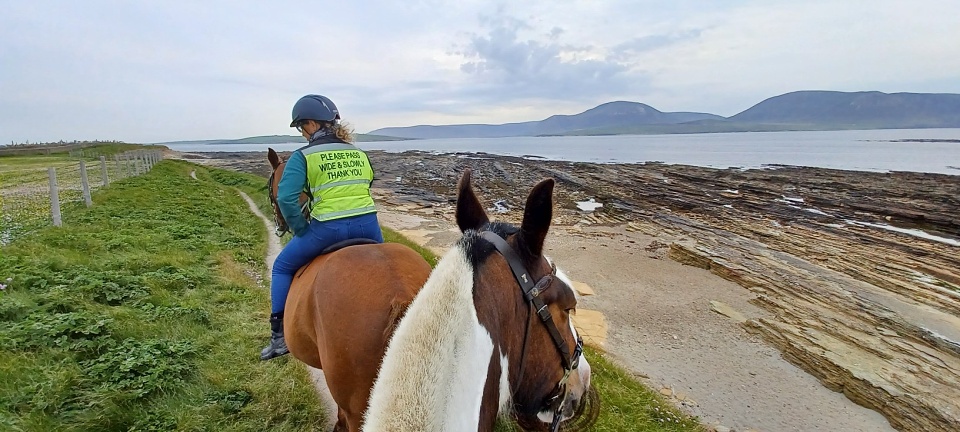 A better ride (Day 2953) | PorridgeWog | Blipfoto