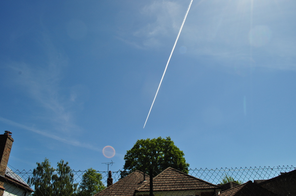 An Early Sign of Recovery? | Dudders | Blipfoto