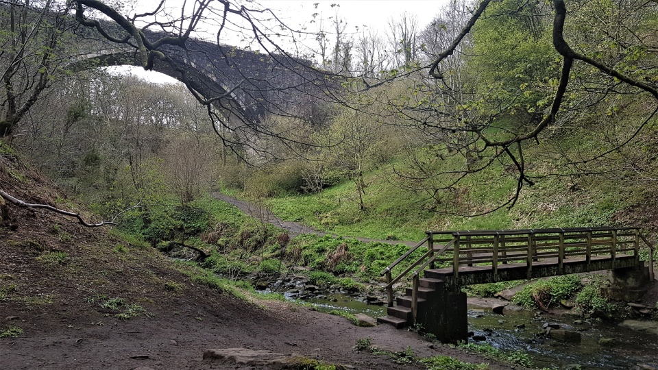 Causey Arch | YellowBalloon | Blipfoto