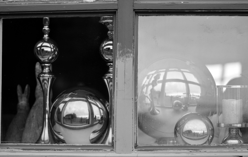 Doing the rounds... | lesmark | Blipfoto