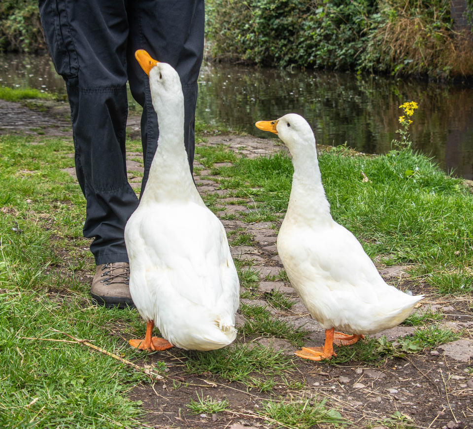 Please can I have some more..... | Helwild | Blipfoto