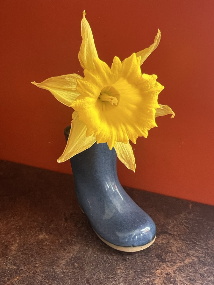 Survived | Romay | Blipfoto