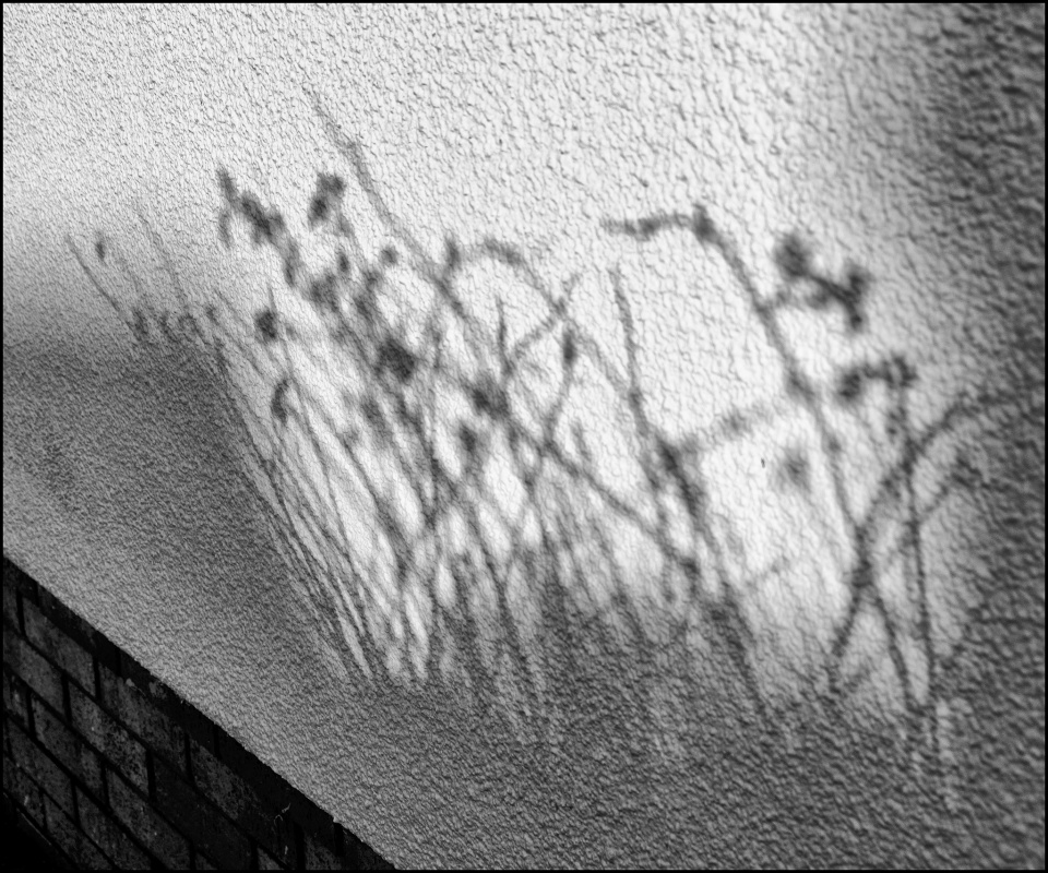 Mono Monday - Shadows | Terrifo | Blipfoto