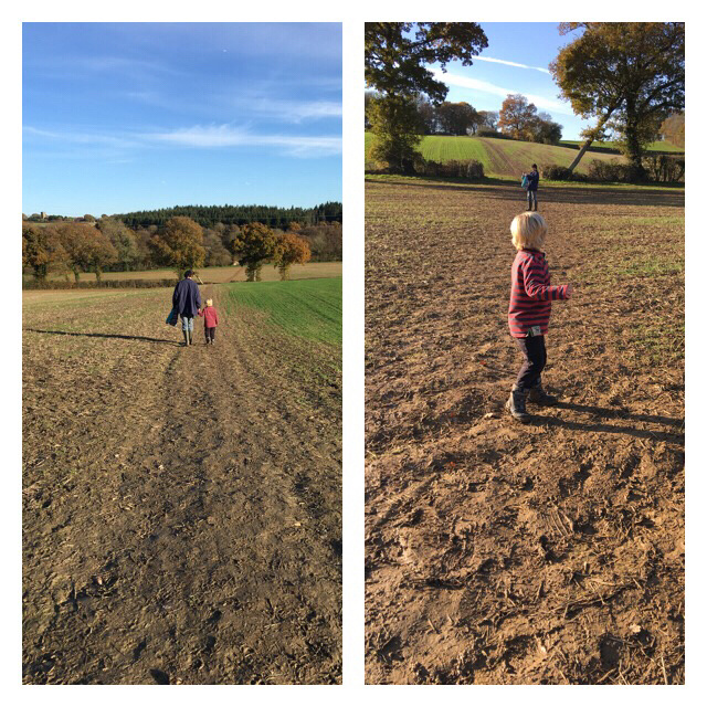 Sunny walk | bivbov | Blipfoto