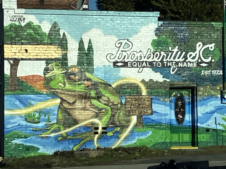 Frog Level | MaryElizaR | Blipfoto