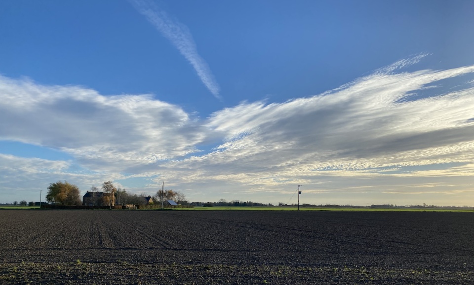 Over the fence | Alison666 | Blipfoto