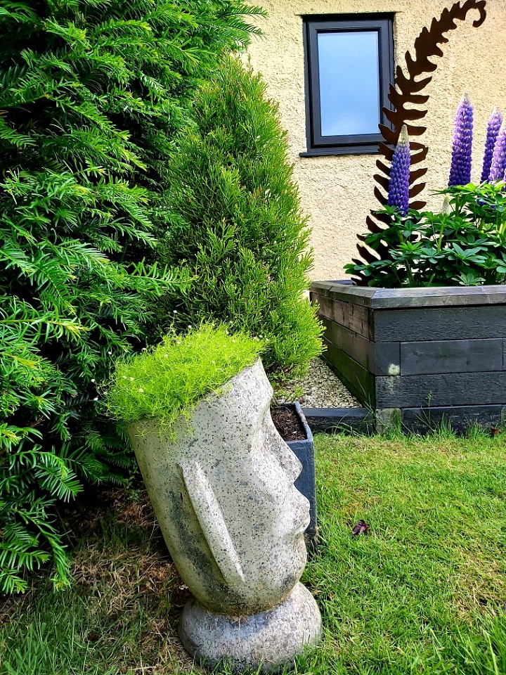 Looking sharp! | Aliscotia | Blipfoto