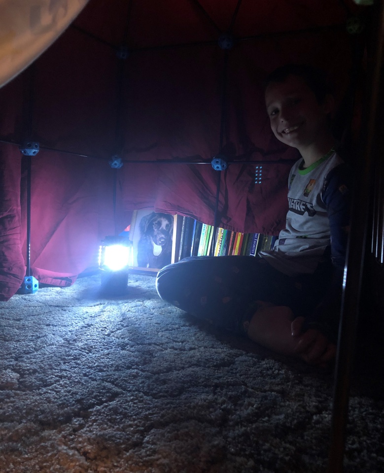 Welcome To Jakob's Fort | TurtleBug | Blipfoto