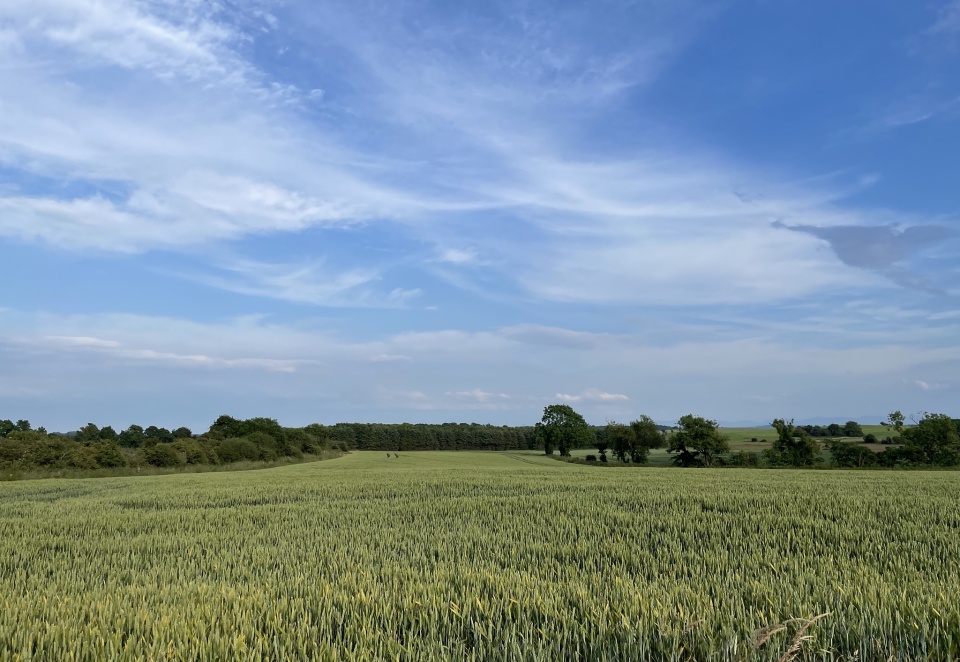 Fife Fields | FiFife | Blipfoto
