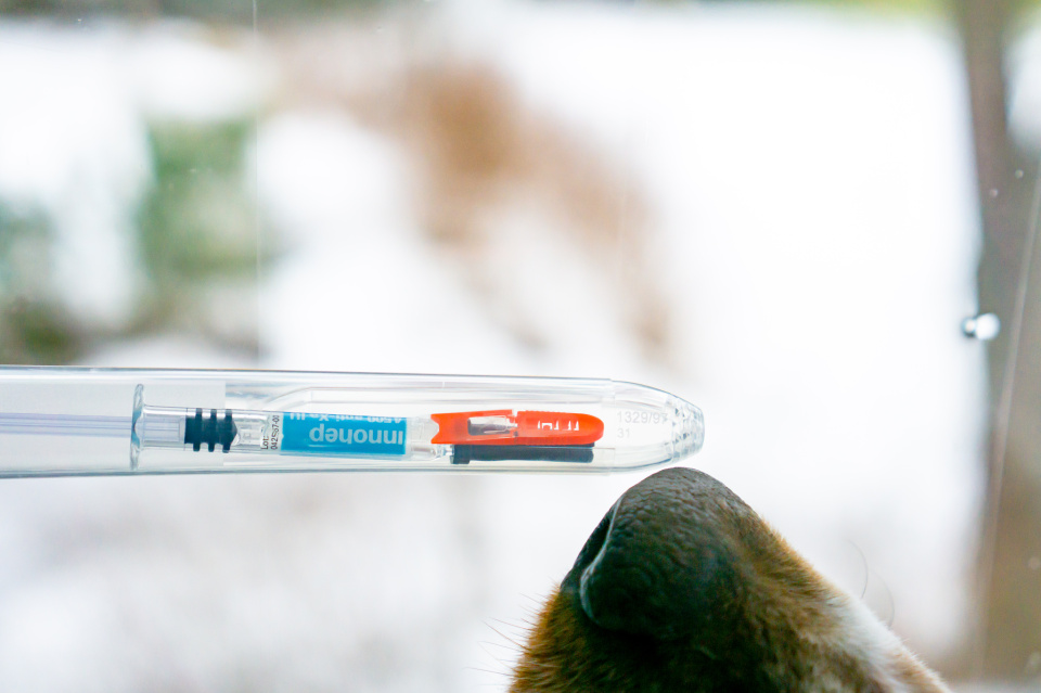 Tinzaparin sodium | otornblom | Blipfoto