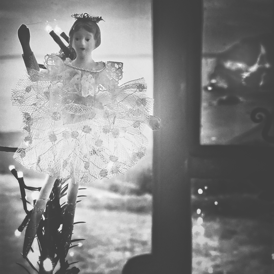 our fairy on boxing day | sk | Blipfoto