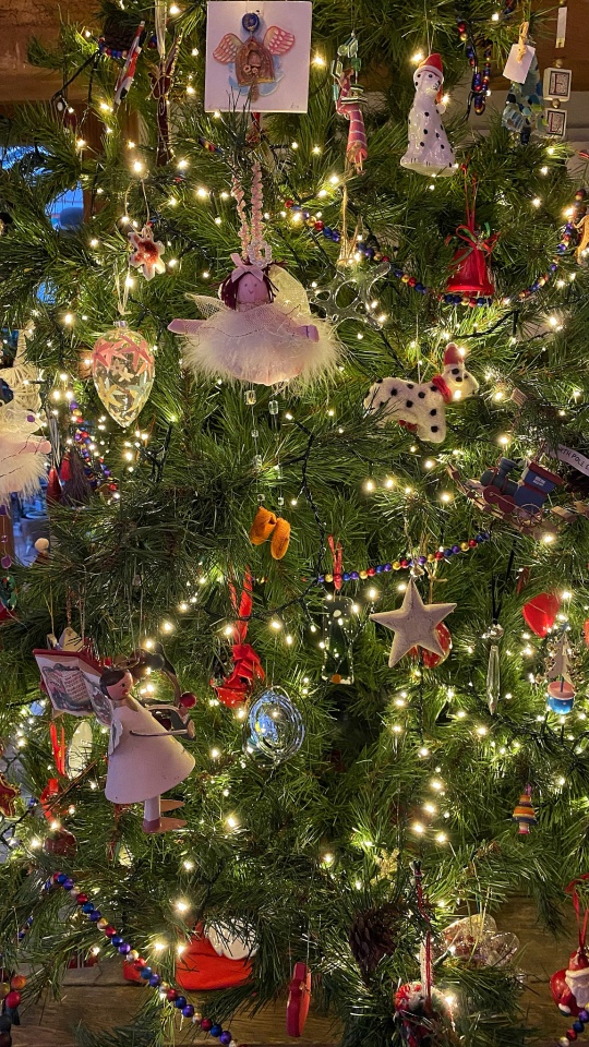 Tree’s up.... | Xtoffdav | Blipfoto