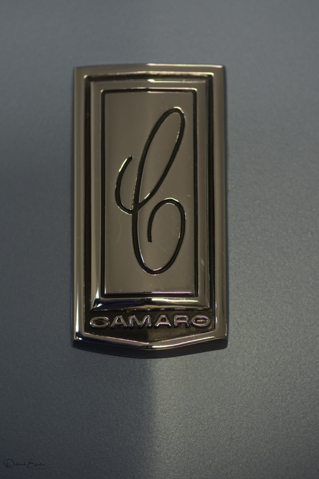 Tiny | dbifulco | Blipfoto