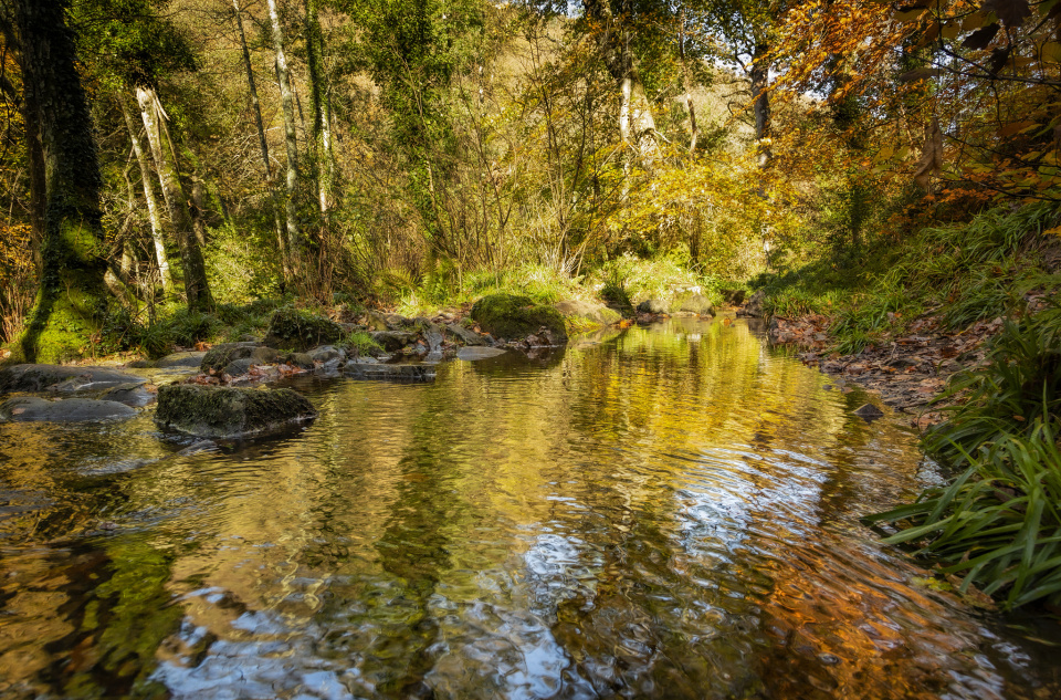 Fingle Bridge | AnnieAndChris | Blipfoto