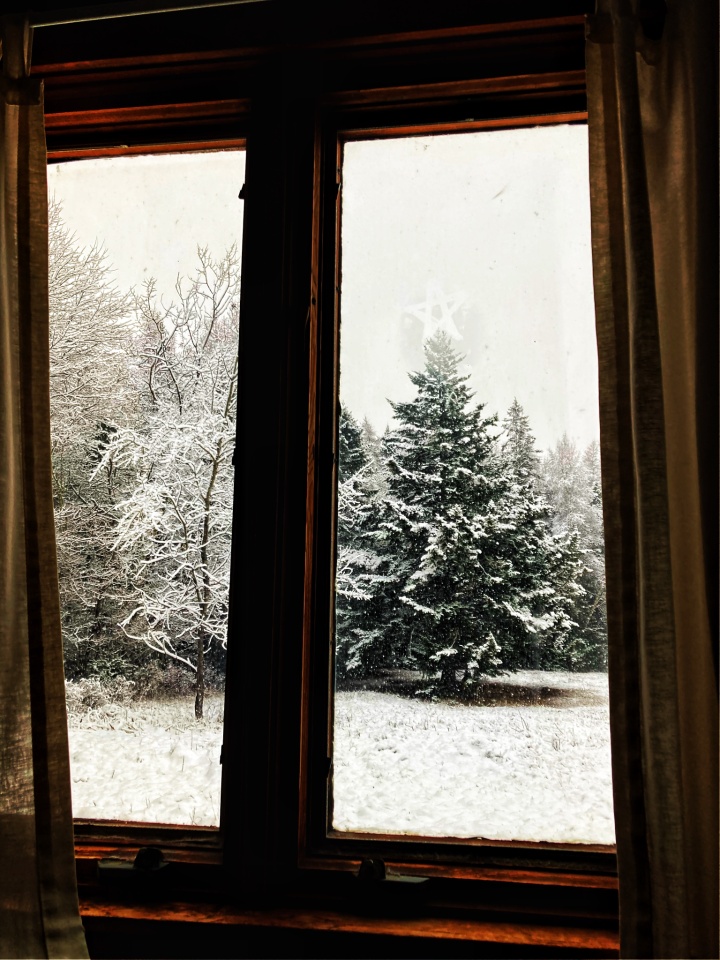 Snow Day (Home Alone) | madowoi | Blipfoto