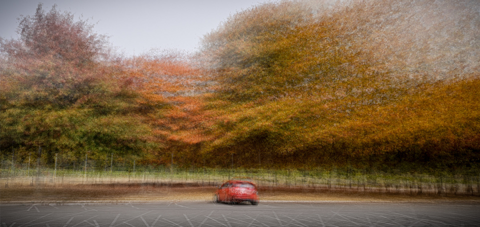 A little red car..... | twigs | Blipfoto