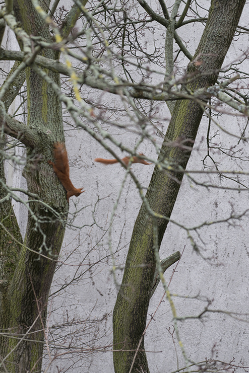 look at her go! | standingTree | Blipfoto