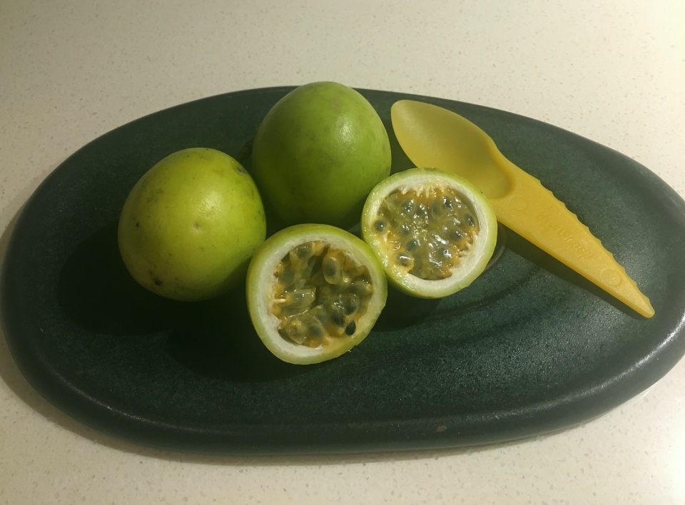 Yellow or Green? | nangee | Blipfoto