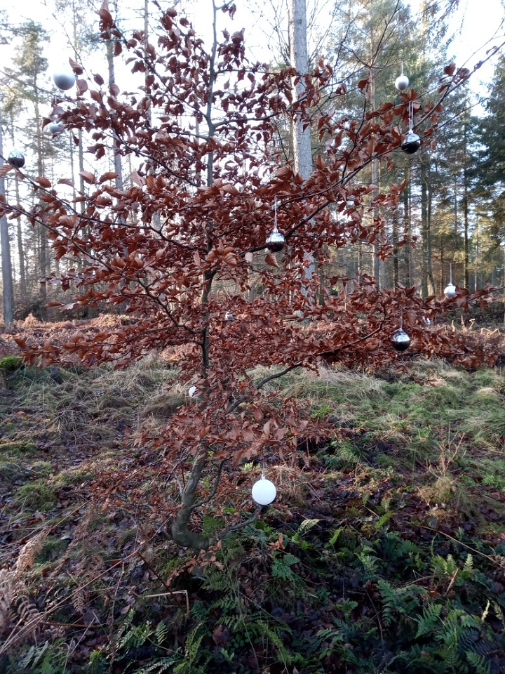 Decorated Tree. | Hazelina | Blipfoto