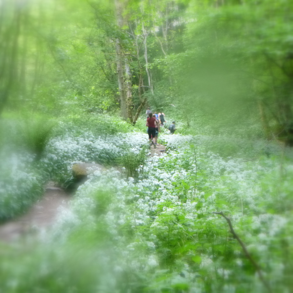 Spinky Den | rat | Blipfoto