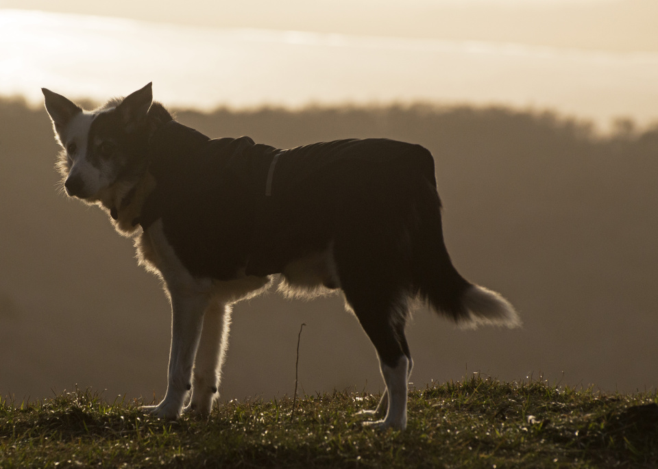 On top of the world | gladders | Blipfoto