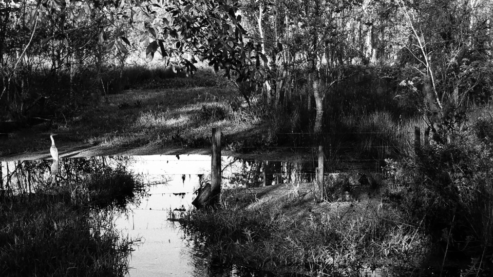 A Pretty Scene - Day 27 | bugsman | Blipfoto