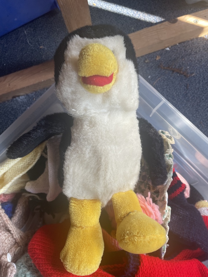 Penguin Benguin | 58jc | Blipfoto