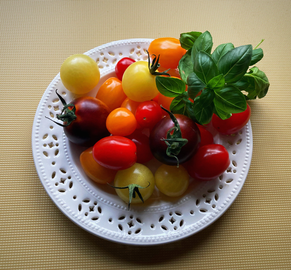 Tomato Time | mambo | Blipfoto