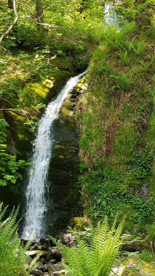 Holme force | trevorearthy | Blipfoto