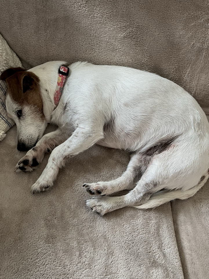 Mimi | cmblow | Blipfoto