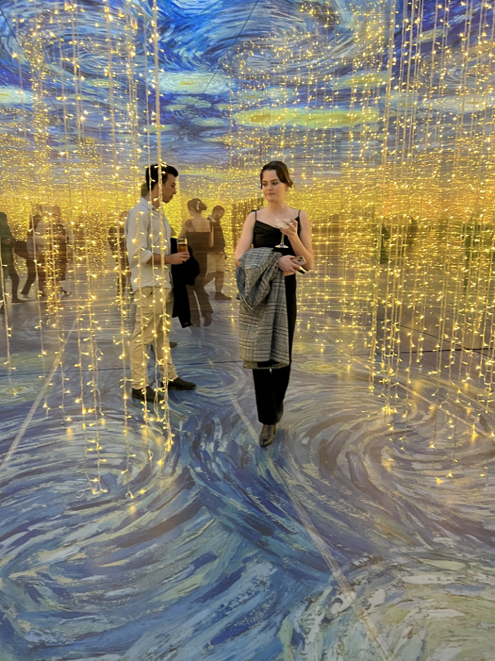 Immersing with Van Gogh | jensphotos | Blipfoto