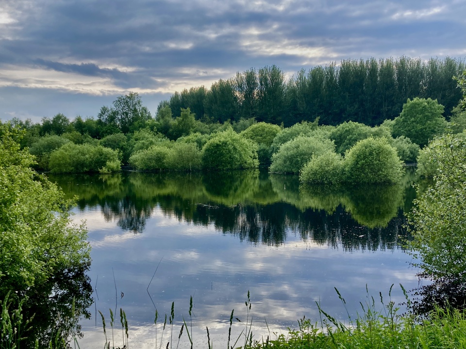 Another walk | billthecat | Blipfoto